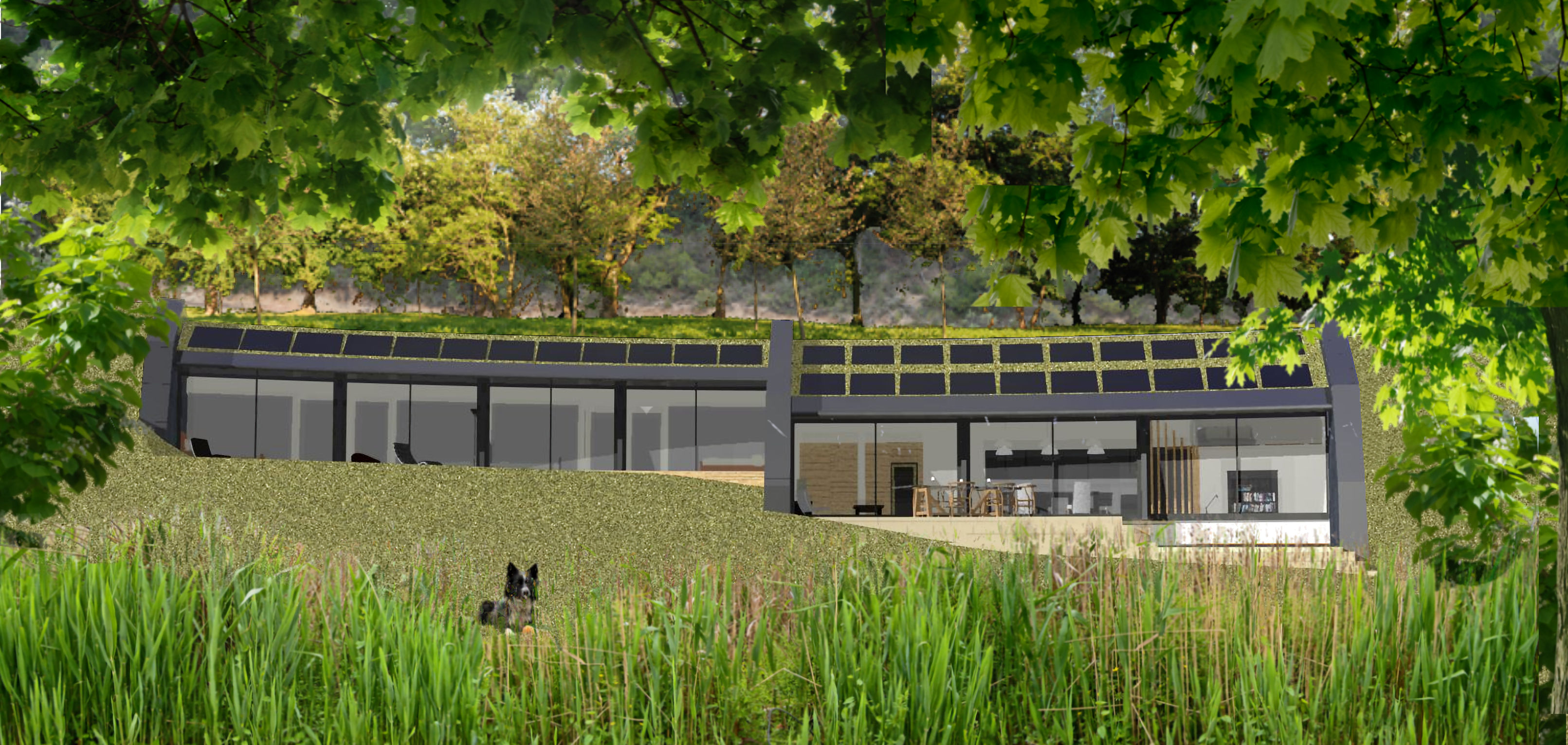 Ecological living | Peter Jackson Architects